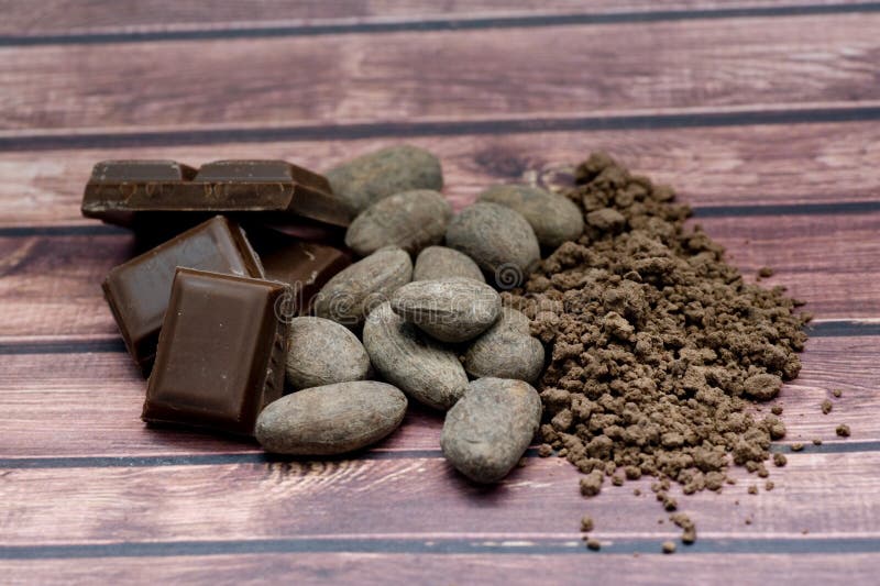 Chocolate in all its forms stock photo. Image of shelf - 77793248