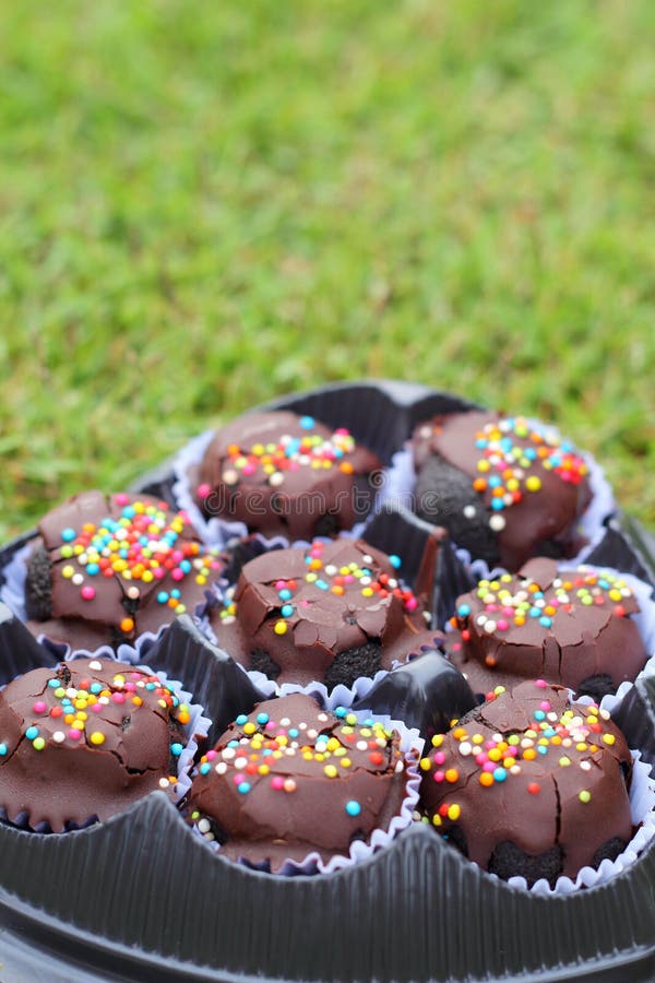 The Chocolate Balls on Green Grass Stock Photo - Image of gourmet ...