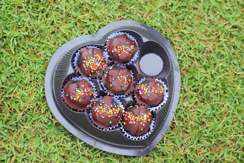 The Chocolate Balls on Green Grass Stock Image - Image of chocolate ...