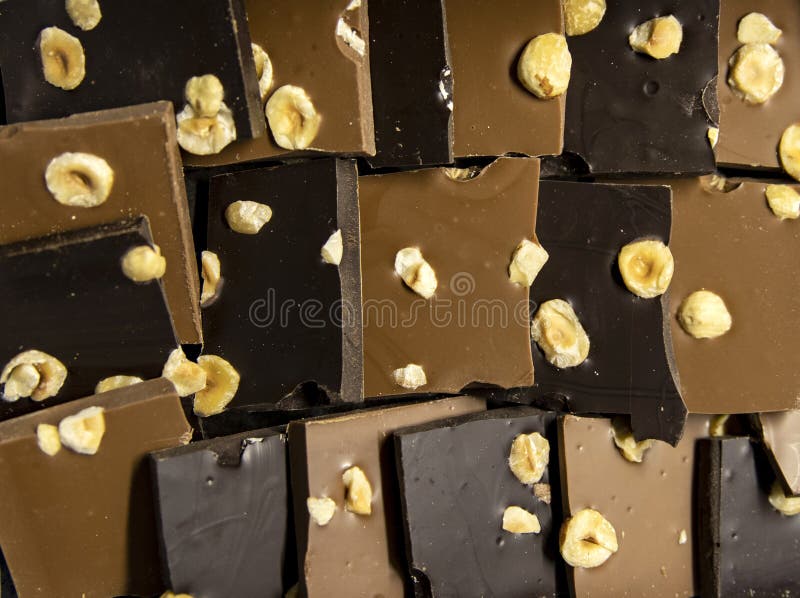 Chocolate Squares and Hazelnuts Stock Photo - Image of food, nuts ...