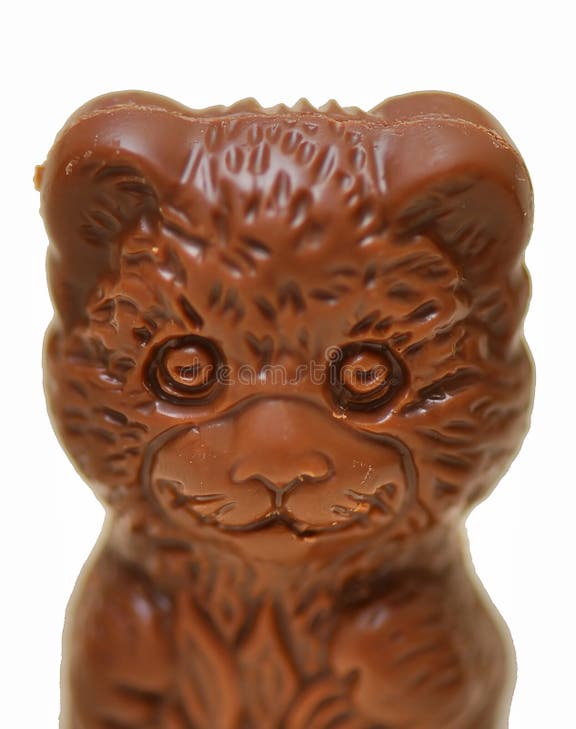 Chocolate Bear stock photo. Image of bear, candy, dark - 2359324
