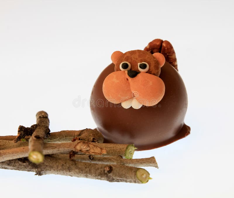 Chocolate Beaver with Sticks Stock Image - Image of beaver, sticks ...