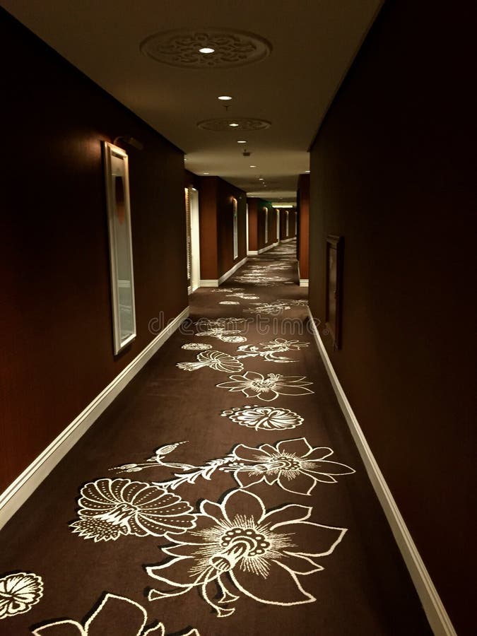Hallway interior in brown stock photo. Image of hotel - 96890510