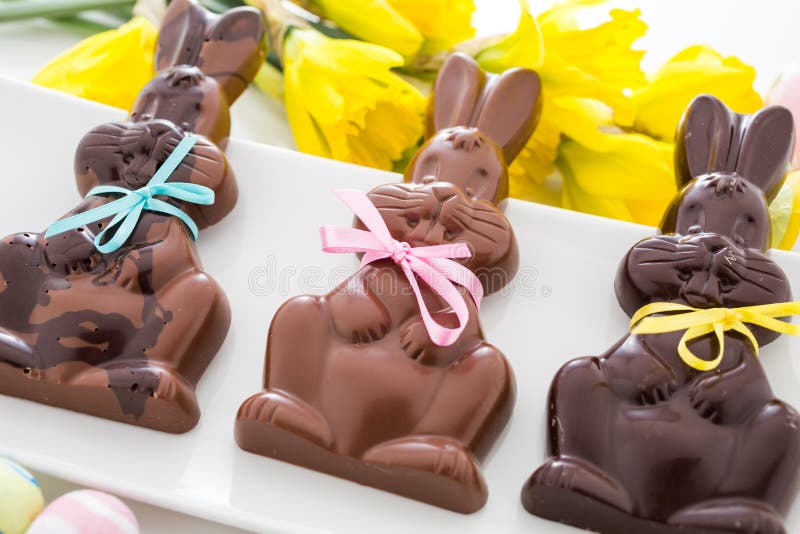 Chocolate bunnies stock photo. Image of round, milk, form - 38799546