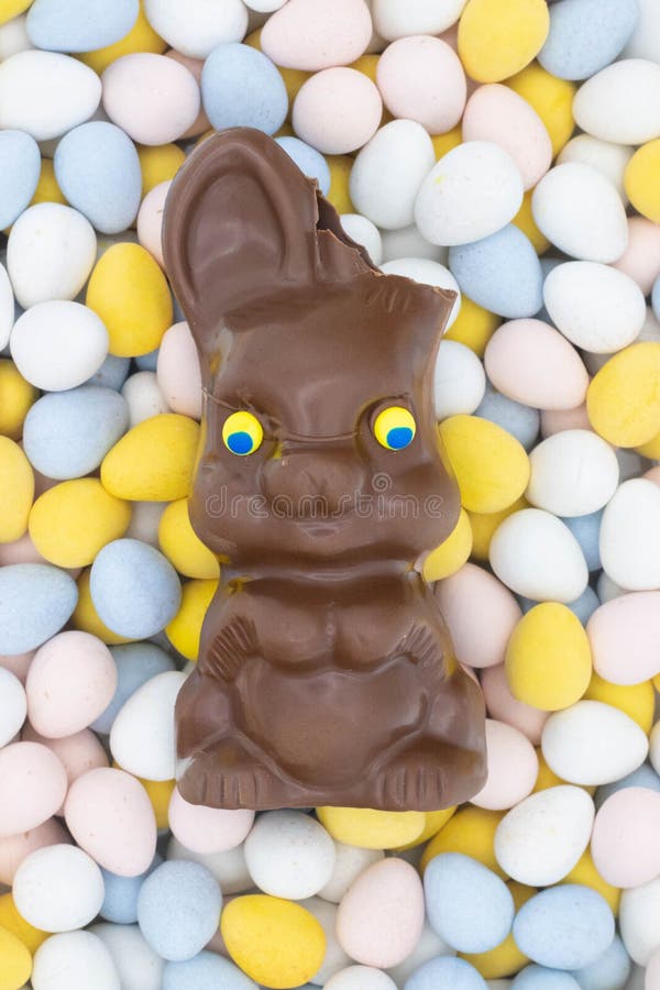 Chocolate Bunny Laying on Candy Eggs Stock Image - Image of holiday ...