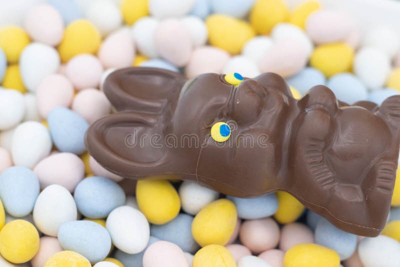 Chocolate Bunny Laying on Candy Eggs Stock Photo - Image of decoration ...