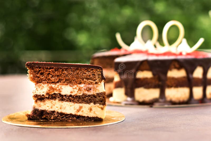 Chocolate Cake, a Beautifully Decorated Cake, a Piece of Cake Stock ... Chocolate Cake, a Beautifully Decorated Cake, a Piece of Cake Stock ...