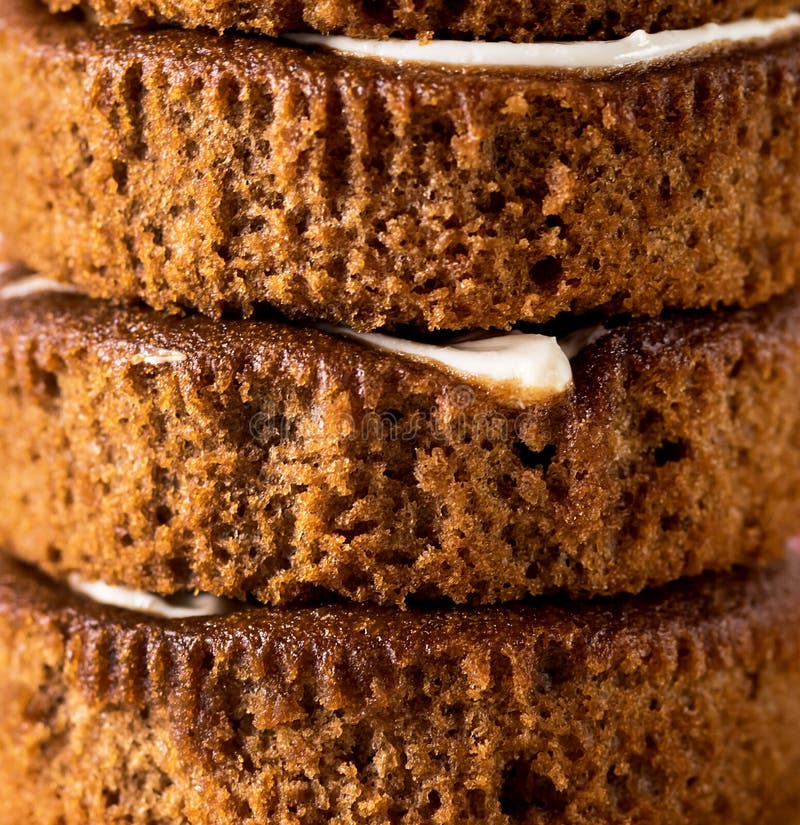 Chocolate Cake Biscuit Stack Sponge Texture of Moist and Sweet Pastry ...