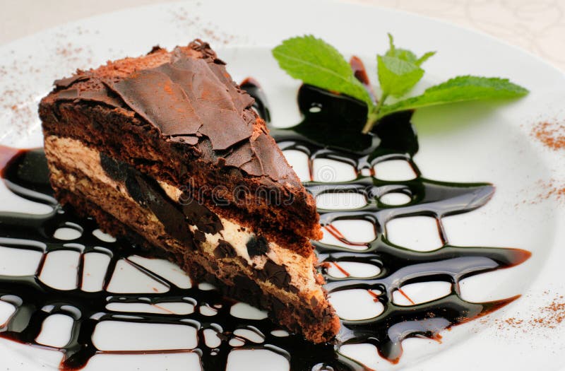 Chocolate Cake with a Brown Topping and Sprig of Mint Stock Image ...