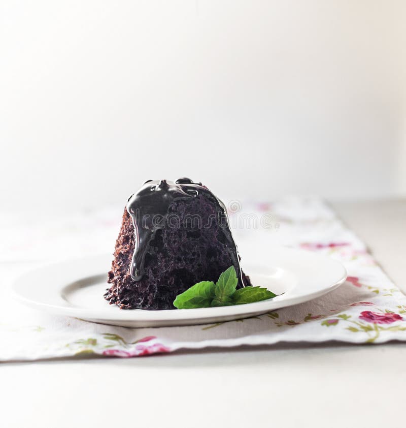 Chocolate Cake with Chocolate Syrup with Mint Leaves on a White Stock ... Chocolate Cake with Chocolate Syrup with Mint Leaves on a White Stock ...