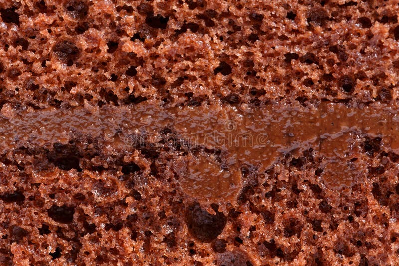 Close-up Macro Photograph Of Chocolate Cake Texture Stock Image - Image ...