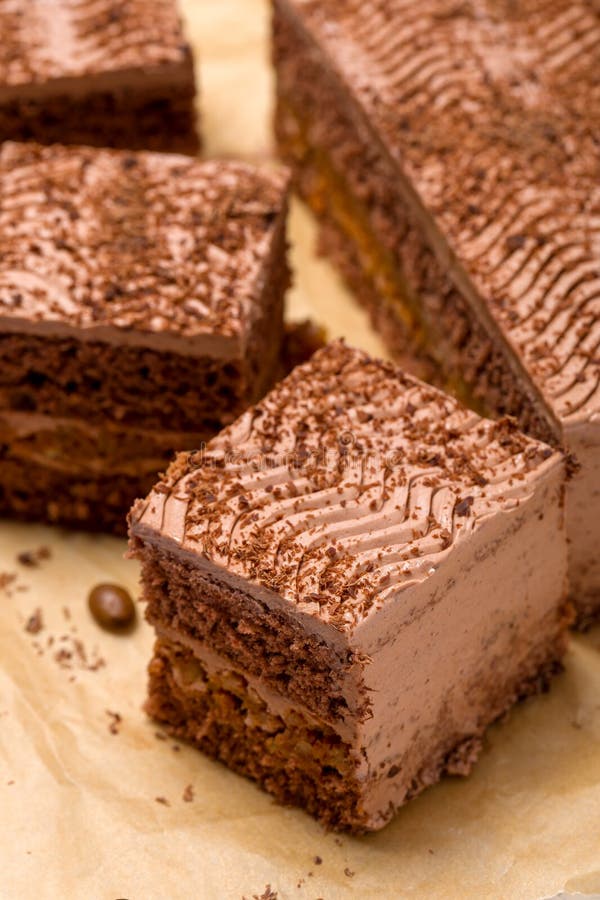 Chocolate Cake Cut into Square Pieces with Nut Cream Stock Image ...