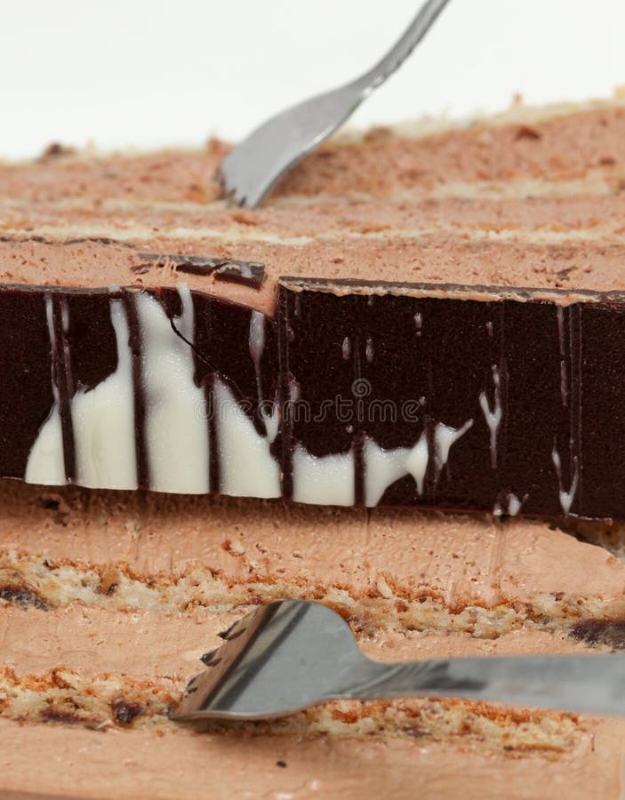 Chocolate Cake ,macro Shot in Studio Stock Image - Image of fork ...