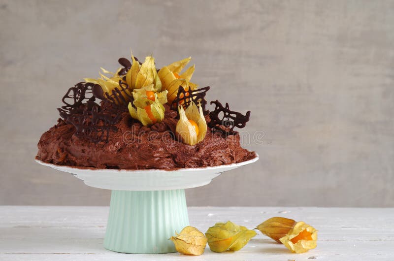 Chocolate Cake with Physalis Stock Photo - Image of pastrys, handmade: 69096046