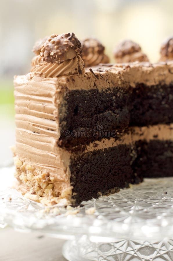 Chocolate cake side view stock image. Image of spring - 40844145