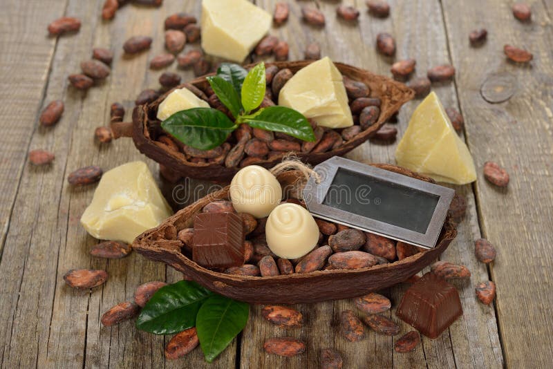 Chocolate candies stock photo. Image of food, pralines - 71699916