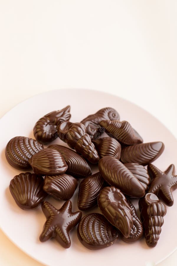 Belgian Sea Shell Chocolates Stock Photo - Image of belgian, hunger ...