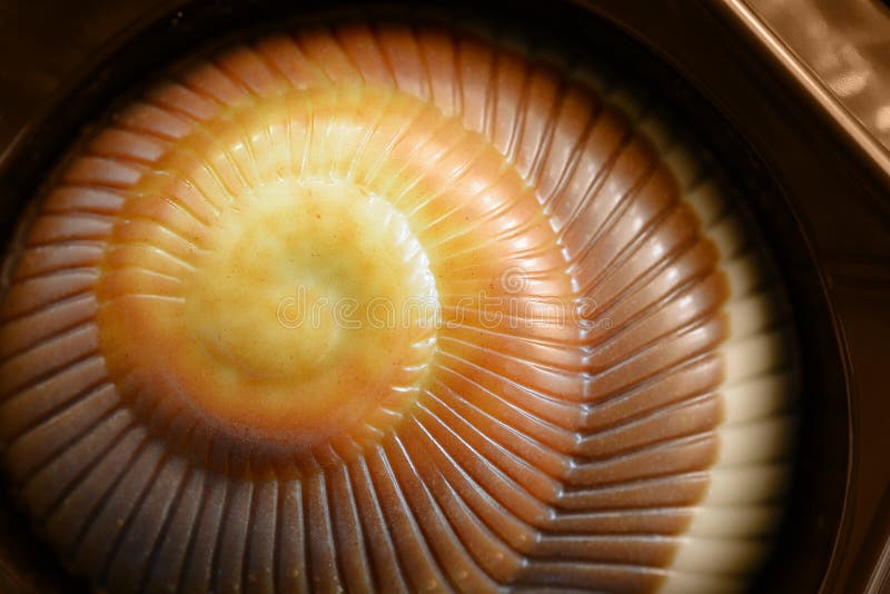 Сhocolate Candy in a Box, Hazelnut Praline. Chocolates in the Form of ...