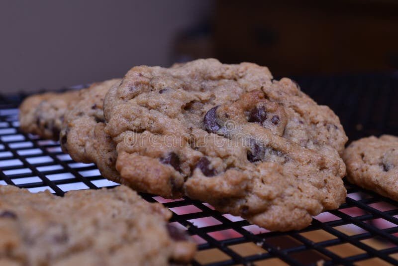 Chocolate Chip Cookies on a Cooling Rack Stock Photo - Image of cookies ...