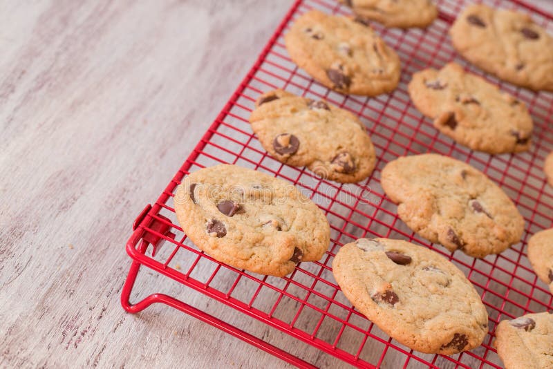 Chocolate Chip Cookies on a Cooling Rack Stock Photo - Image of treat ...