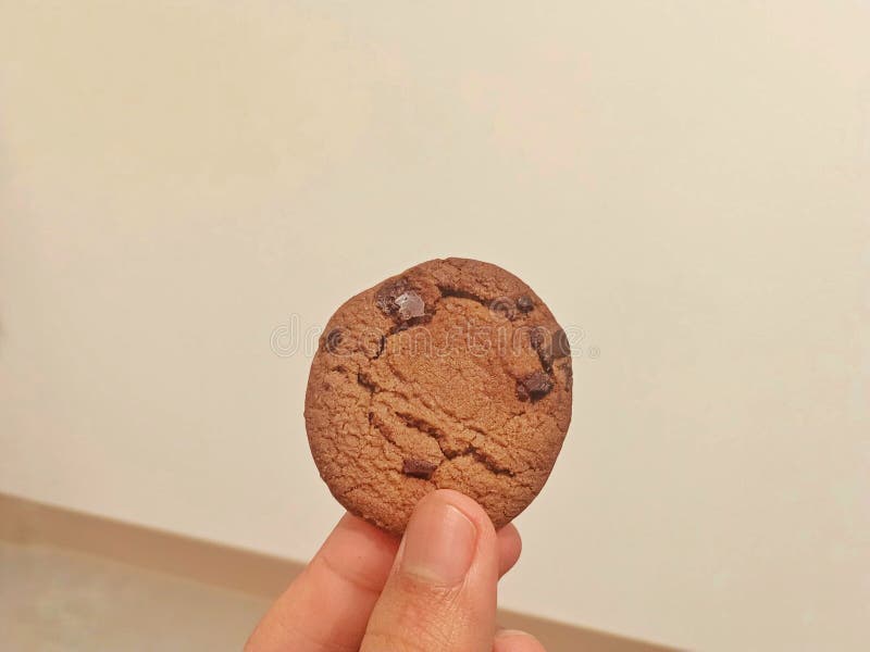 Chocolate Choco Chips Sprinkled with Chocolate Stock Image - Image of ...