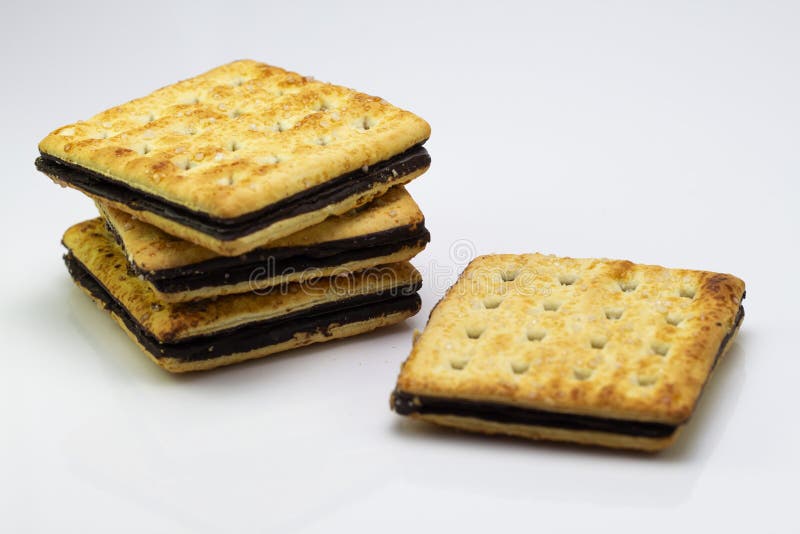 Chocolate coated biscuits stock photo. Image of baked - 266407266