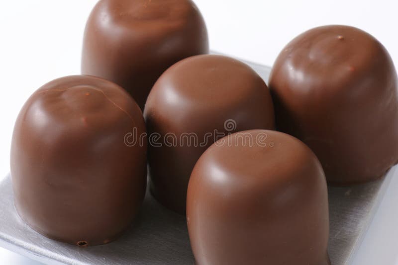 Chocolate-coated Marshmallow Treats Stock Image - Image of cream, candy ...