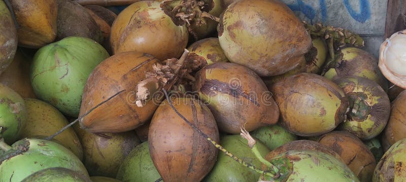 Chocolate coconut water stock photo. Image of citrus - 251838984