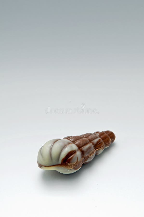 Chocolate Conch Stock Photos - Free & Royalty-Free Stock Photos from ...