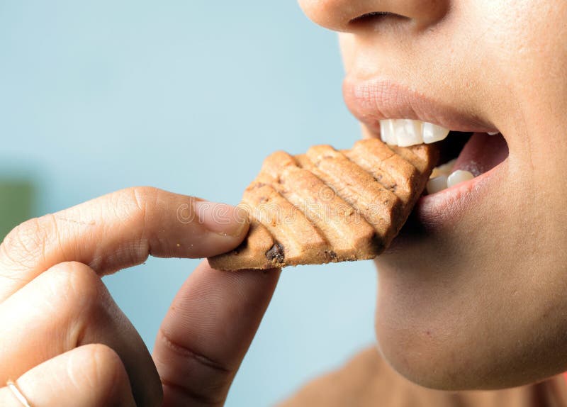 Chocolate cookie stock photo. Image of calories, cookie - 16221140