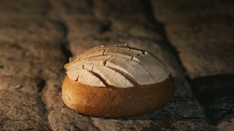 Chocolate-covered Concha, Mexican Bread Made in a Stone Oven Stock ...
