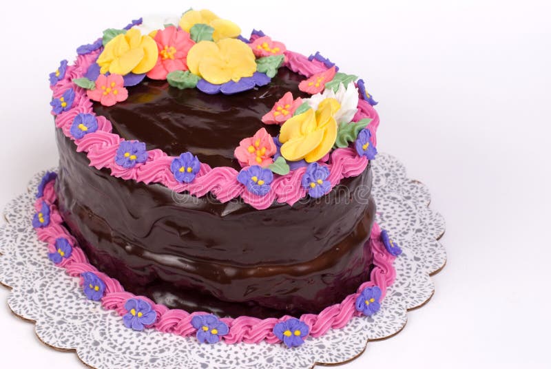 Chocolate Covered Oval Cake on White Stock Image - Image of special ...