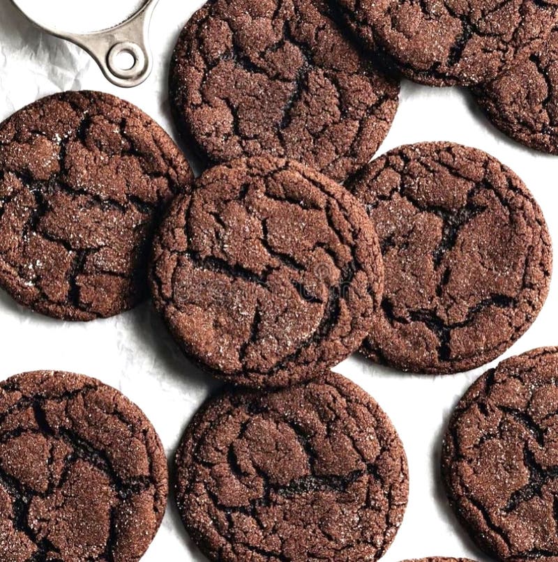 Chocolate Cracker Cookies, Look so Crunchy Stock Photo - Image of ...