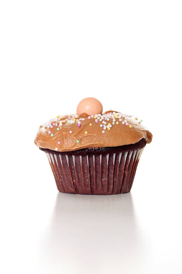 Chocolate Cupcake on White Vertical Stock Photo - Image of dessert ...