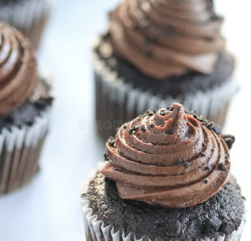 Chocolate Cupcakes in a Row Stock Photo - Image of homemade, cupcakes ...