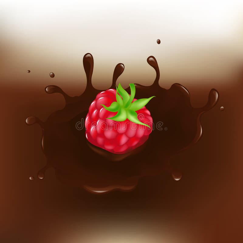Chocolate-dipped Raspberry. Vector Stock Vector - Illustration of ...