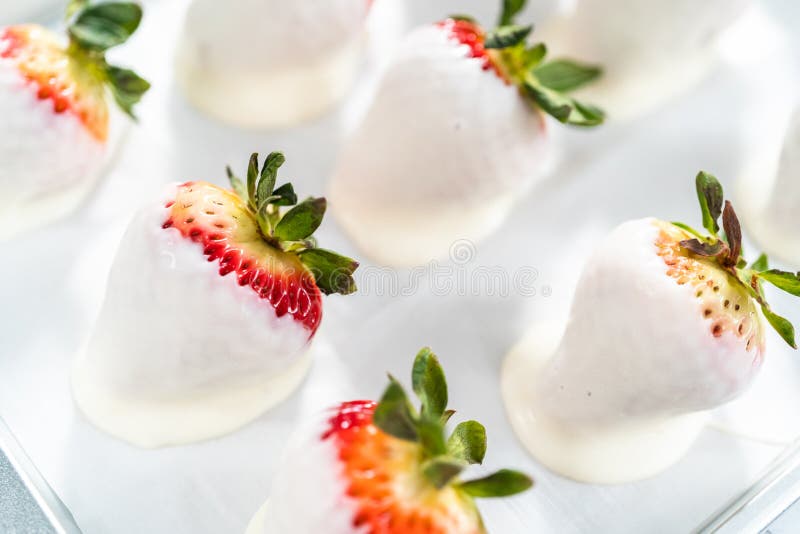 Chocolate Dipped Strawberries Stock Photo - Image of chocolate, white ...