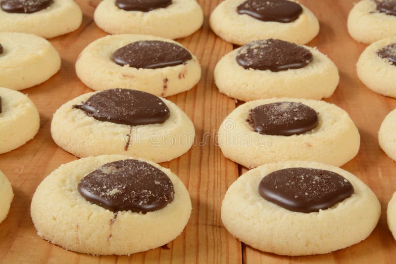 Chocolate drop cookies stock photo. Image of shortbread - 47068320