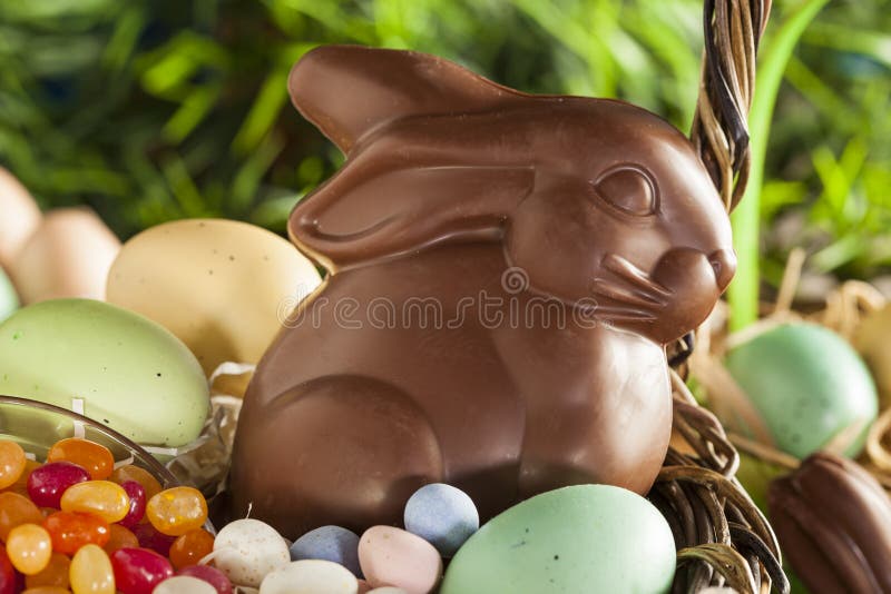 Chocolate Easter Bunny in a Basket Stock Image - Image of indulgence ...