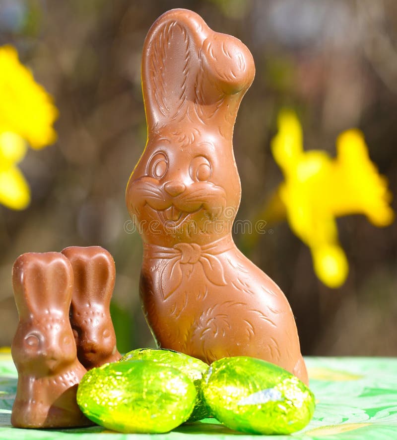 Chocolate easter bunny stock photo. Image of daffodils - 36120136