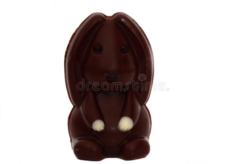 Chocolate Easter Bunny Rabbit Isolated Stock Photo - Image of culture ...