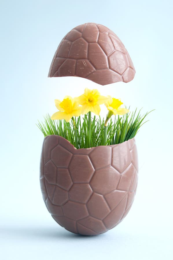 Chocolate Easter Egg Spring Flowers Stock Photo - Image of season ...