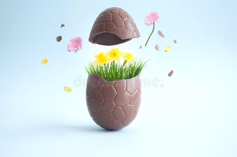 Chocolate Easter Egg Spring Surprise Stock Image - Image of treat ...