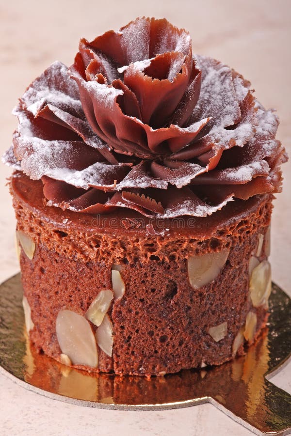 Chocolate fancy cake stock photo. Image of fancy, coffee - 4173878