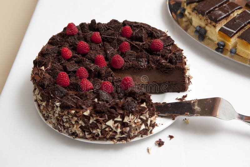 Chocolate fix stock photo. Image of baking, food, raspberry - 28271286