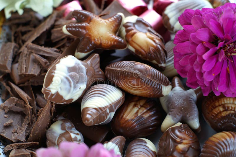 Chocolate with flower stock photo. Image of leaf, candy - 4994732
