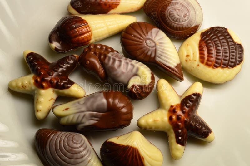 Chocolate in the Form of Sea Creatures and Shells Stock Photo - Image ...