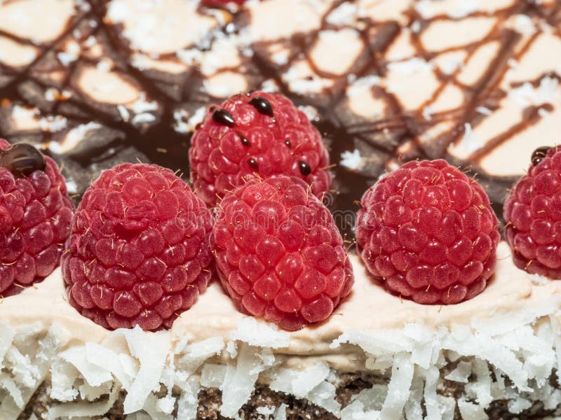 Chocolate Framboise Layer Cake Imagen de archivo - Imagen de casero ...