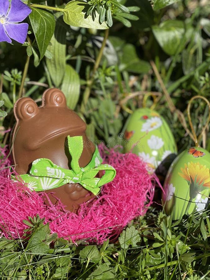 A chocolate frog stock image. Image of frog, watch, easter - 215975277