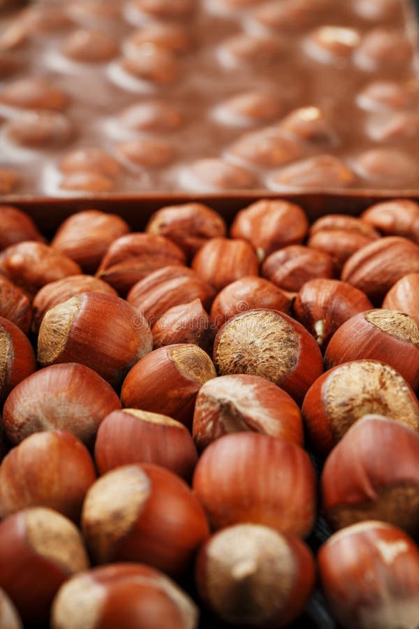 Chocolate with Hazelnuts, Nuts in a Shell in the Form of a Solid ...